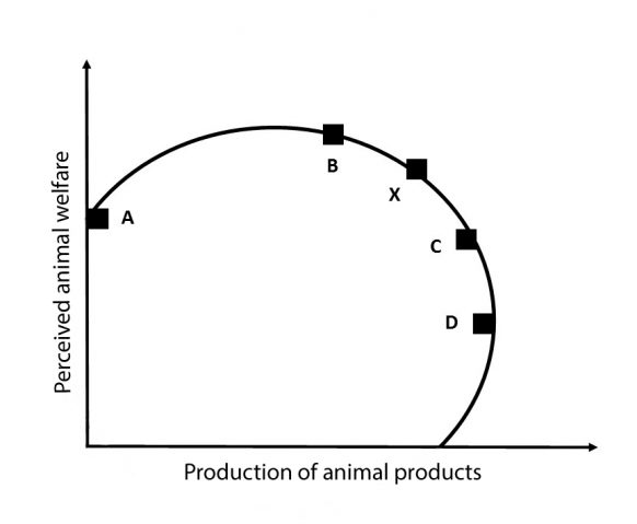 Balancing Welfare and Productivity – Ontario Goat