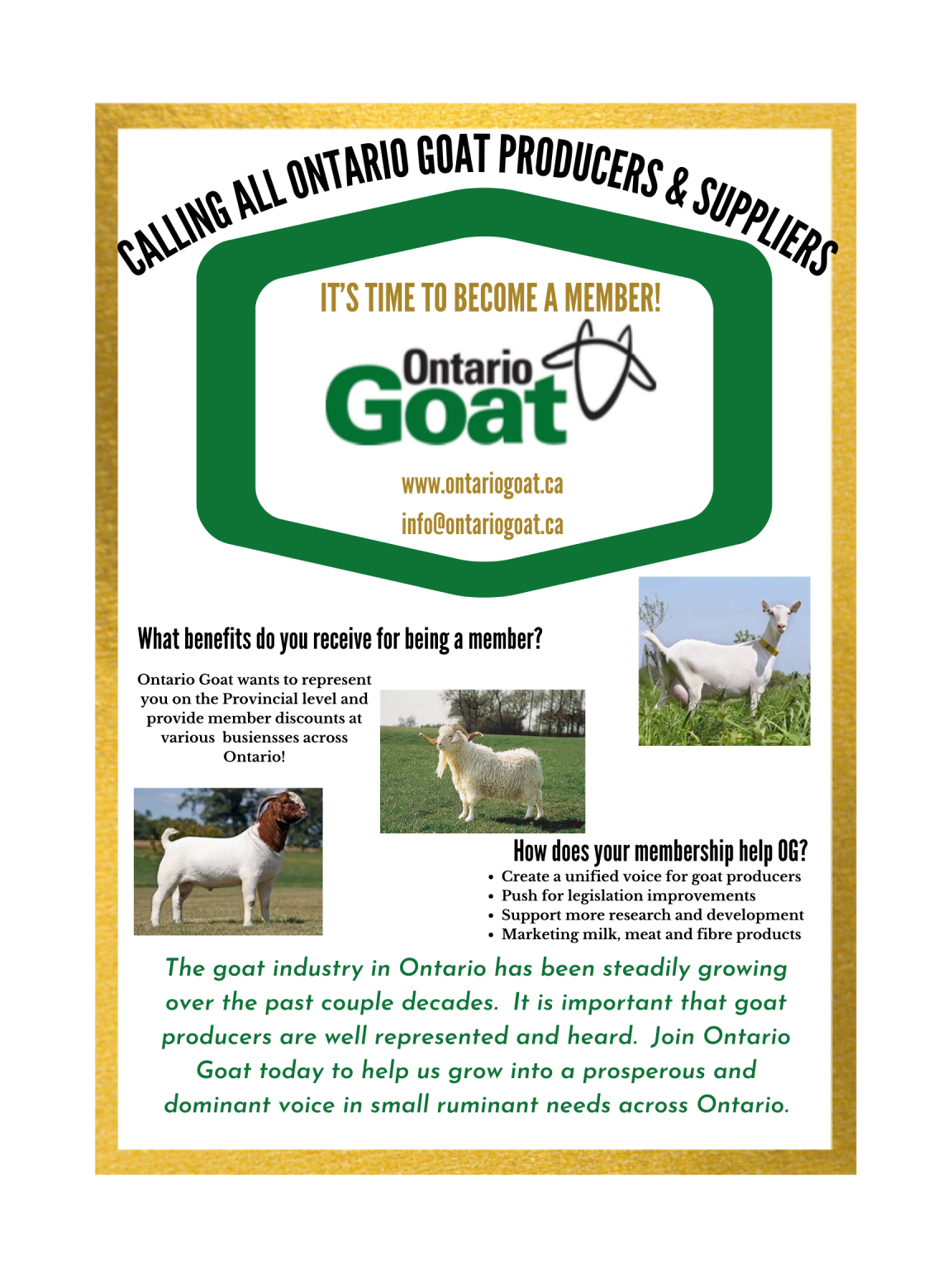 Ontario Goat – Proudly representing Ontario's dairy, meat and fibre ...