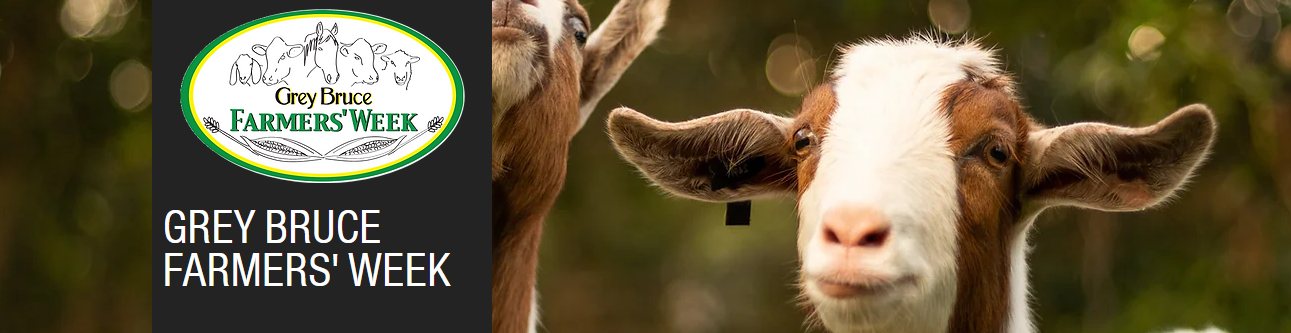 Ontario Goat – Proudly representing Ontario's dairy, meat and fibre ...