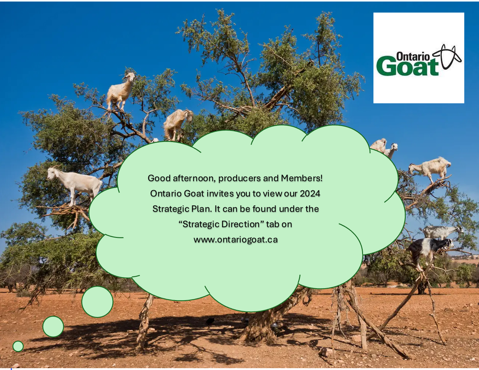 Ontario Goat – Proudly representing Ontario's dairy, meat and fibre ...