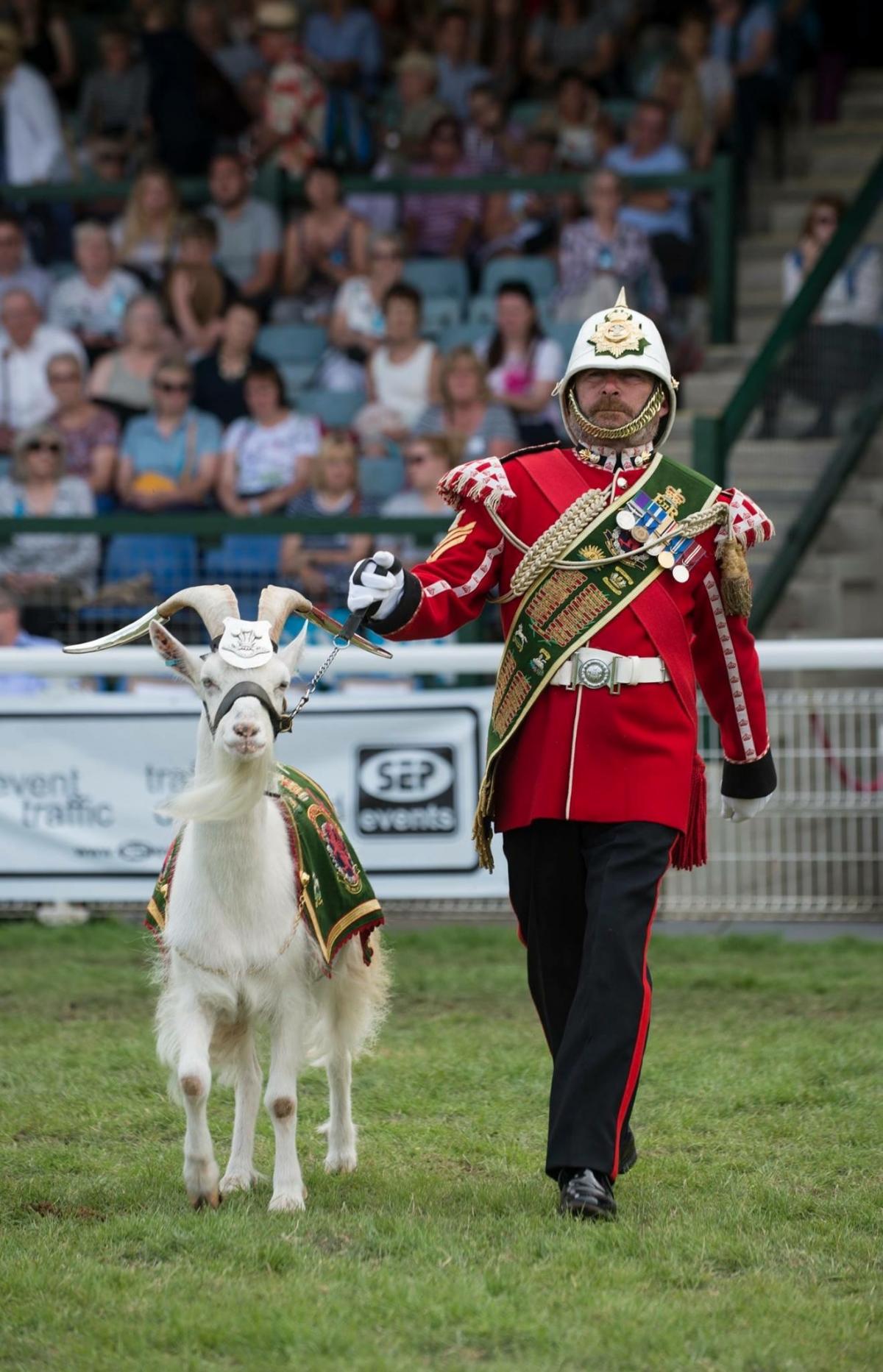 Ontario Goat – Proudly representing Ontario's dairy, meat and fibre ...