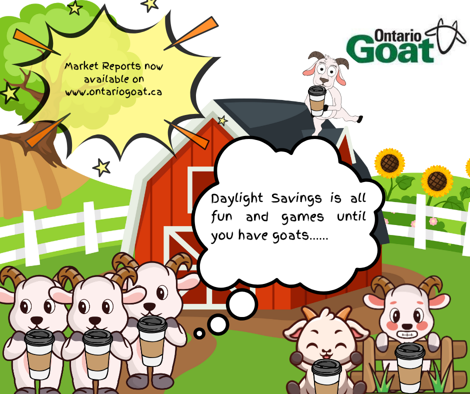 Ontario Goat – Proudly representing Ontario's dairy, meat and fibre ...