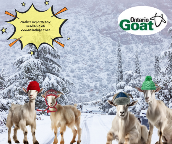 Ontario Goat – Proudly representing Ontario's dairy, meat and fibre ...
