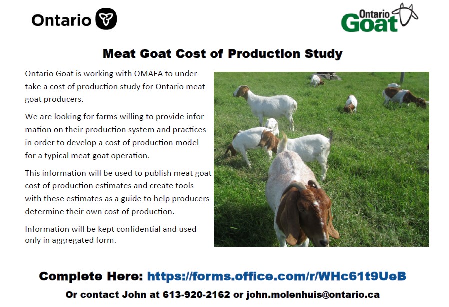 Ontario Goat – Proudly representing Ontario's dairy, meat and fibre ...