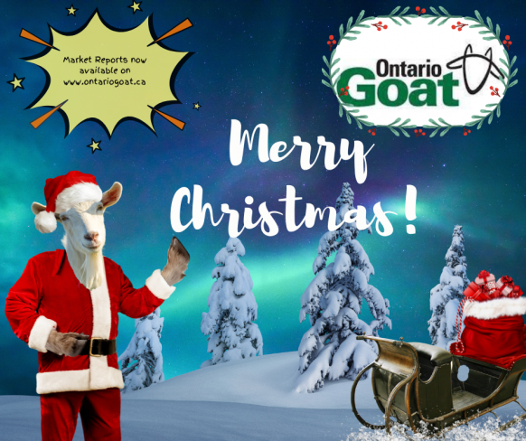 Ontario Goat – Proudly representing Ontario's dairy, meat and fibre ...