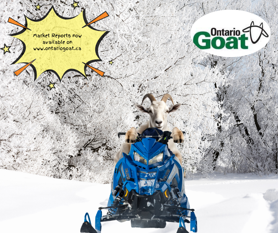 Ontario Goat – Proudly representing Ontario's dairy, meat and fibre ...
