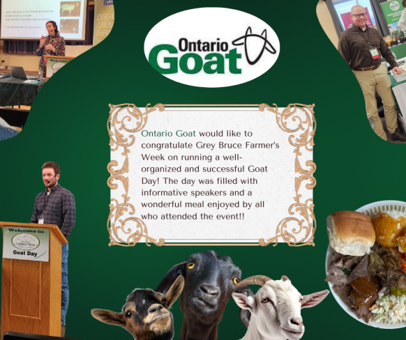 Ontario Goat – Proudly representing Ontario's dairy, meat and fibre ...
