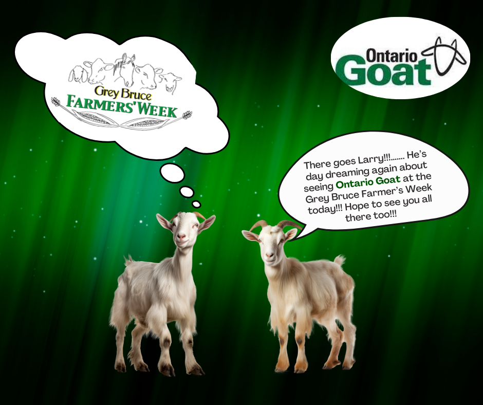 Ontario Goat – Proudly representing Ontario's dairy, meat and fibre ...