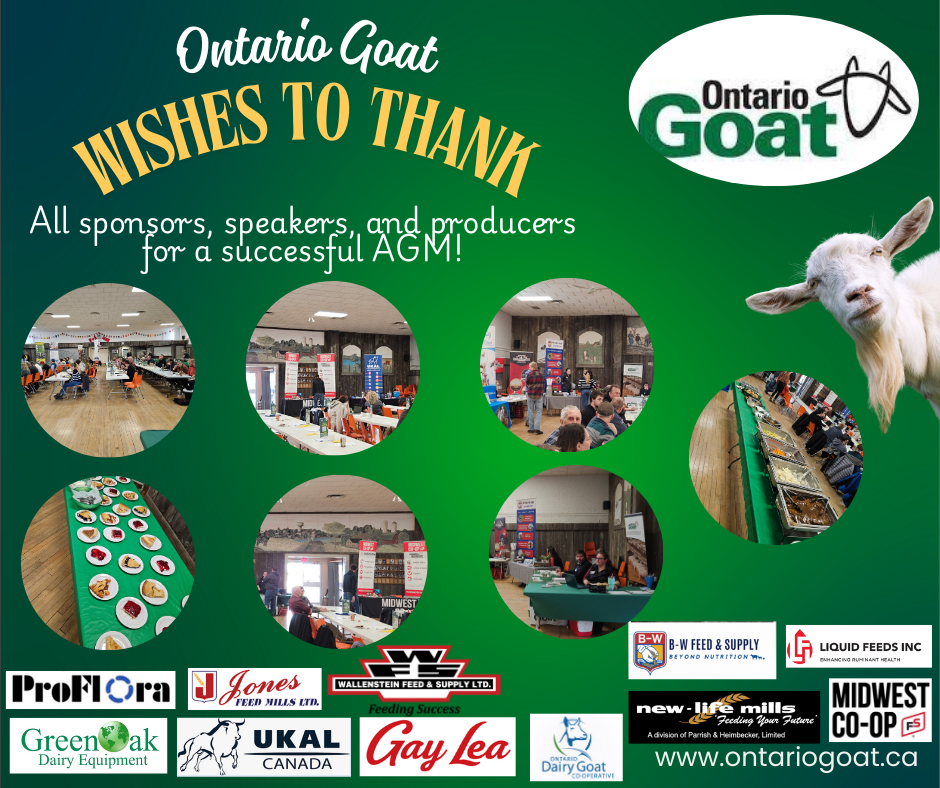 Ontario Goat – Proudly representing Ontario's dairy, meat and fibre ...